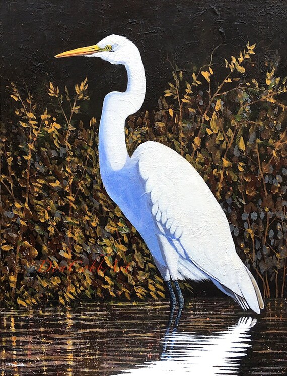 Louisiana Swamp Birds