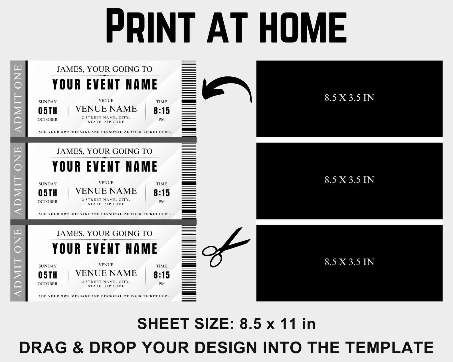 Concert Ticket, Ticket 2024, Memorabilia Concert, Personalized Music ...