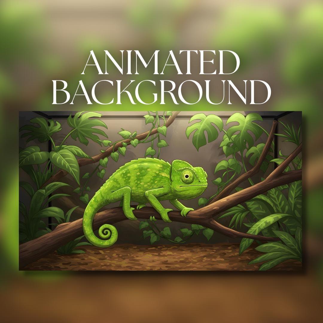 Animated Background | Green Chameleon on Jungle Enclosure Branch ...