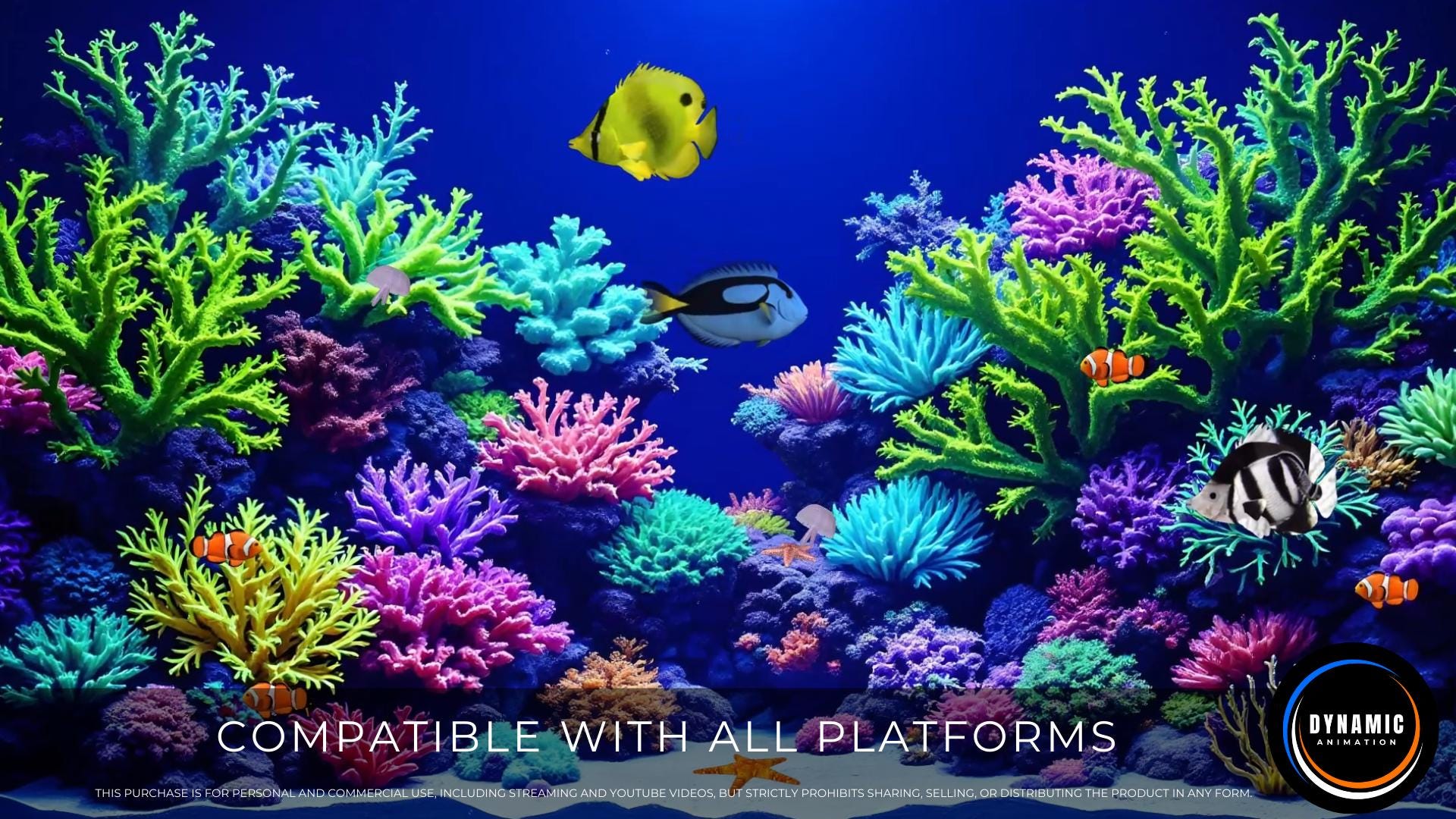 Animated Background | Underwater Reef Aquarium | Colourful Corals ...
