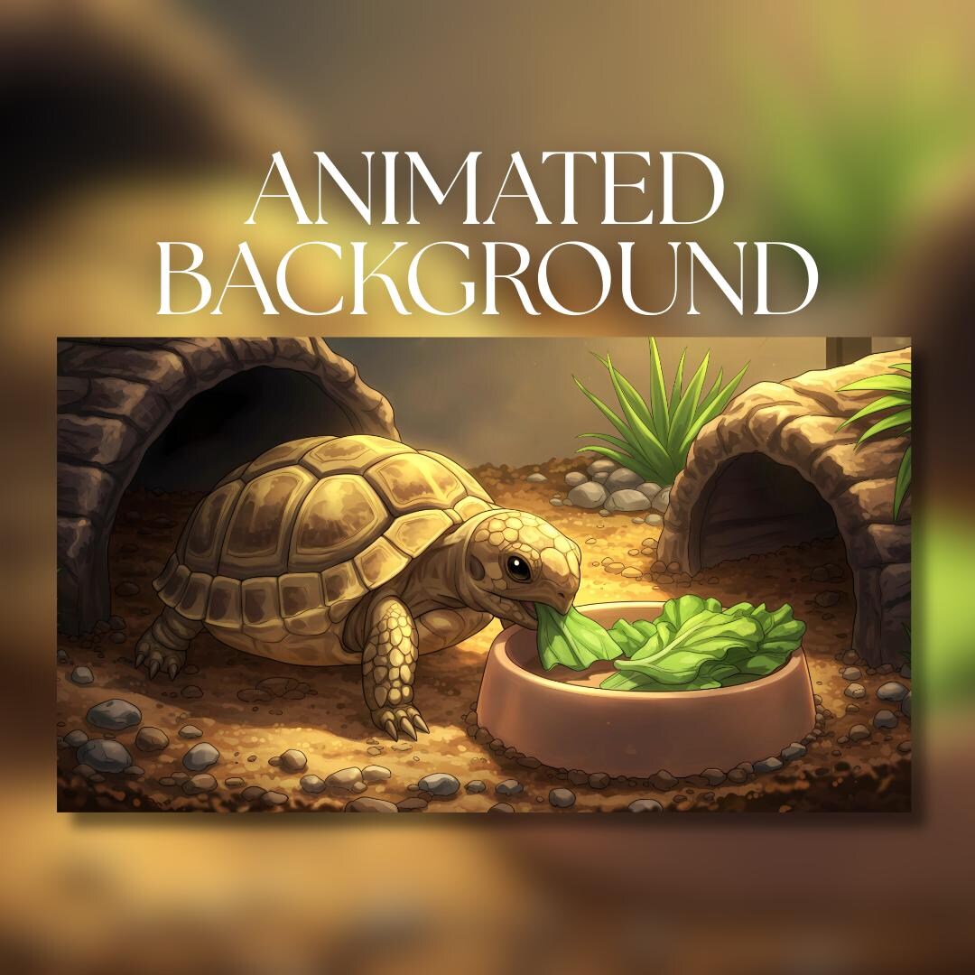 Animated Background | Cute Tortoise Eating Lettuce in Terrarium ...