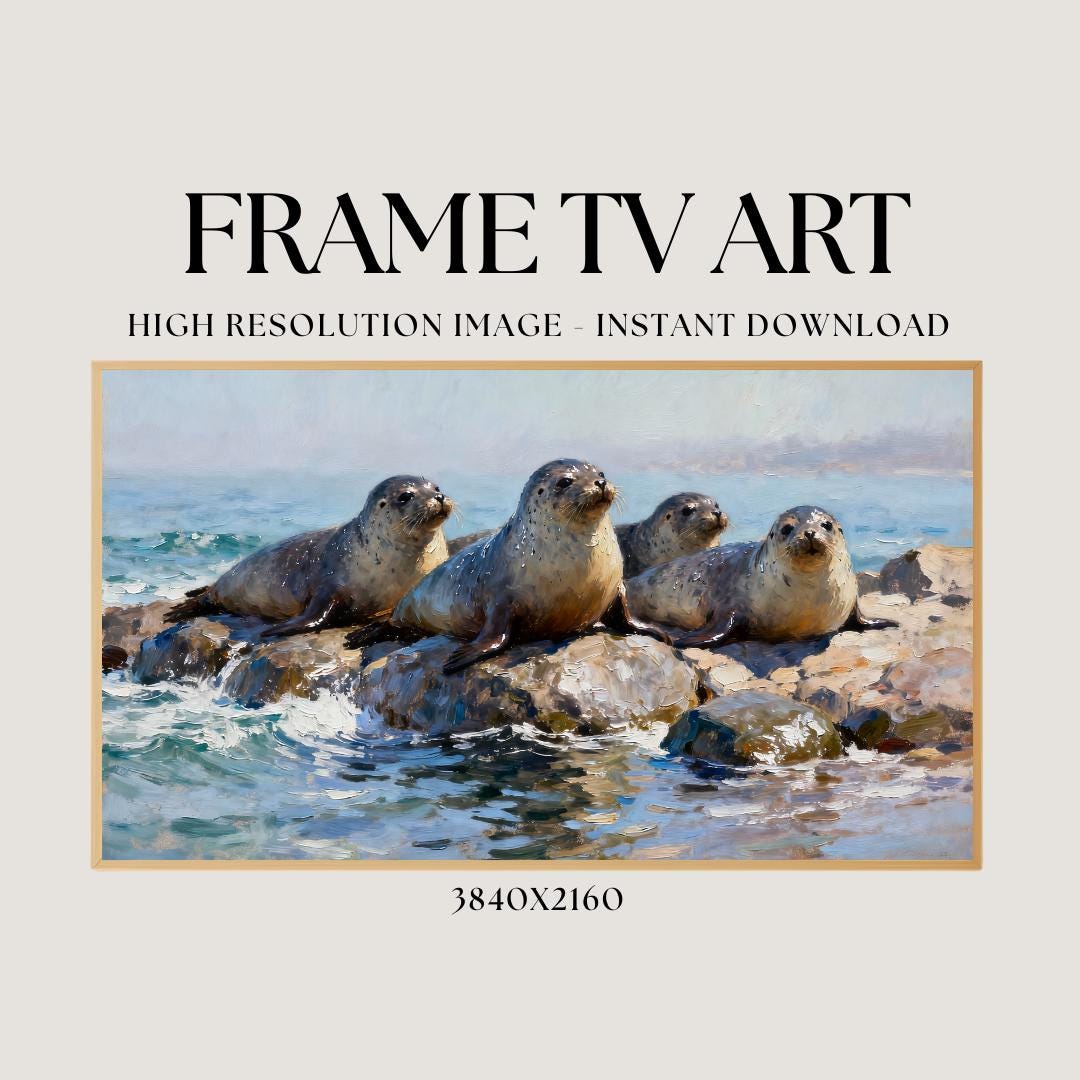 Frame TV Art | Four Seals Resting on Coastal Rocks | Calm Marine ...
