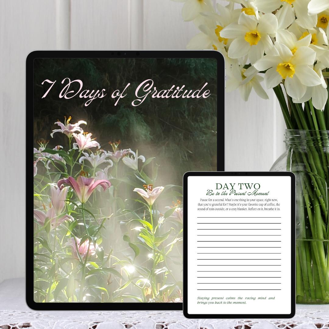 7 Days of Gratitude Journal, Adhd-friendly Guided Prompts for ...