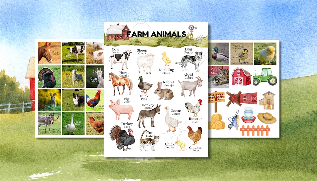 Farm Animals//farm Animals Activity//farm Animal Learning Activity ...