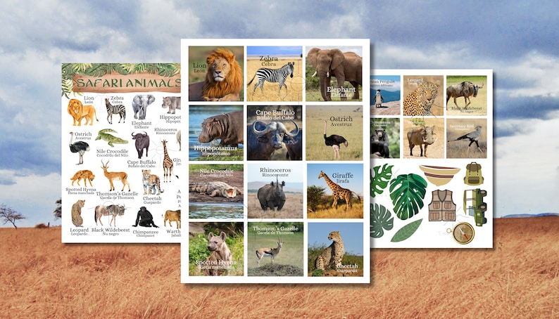 Safari Animals Flash Cards, Bilingual Learning (digital File) - Etsy