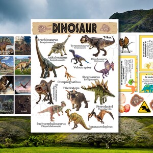 Dinosaur//dinosaur Activity//dinosaur Learning Activity//activities for ...