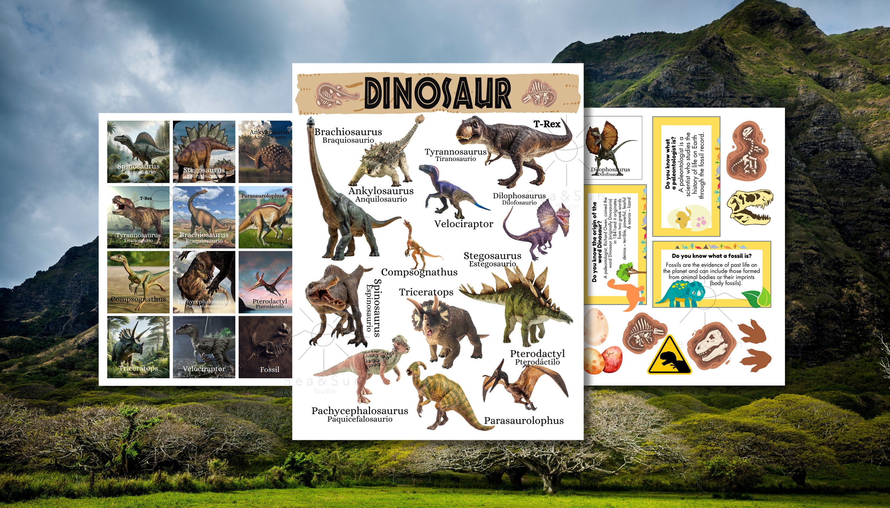 Dinosaur//dinosaur Activity//dinosaur Learning Activity//activities for ...