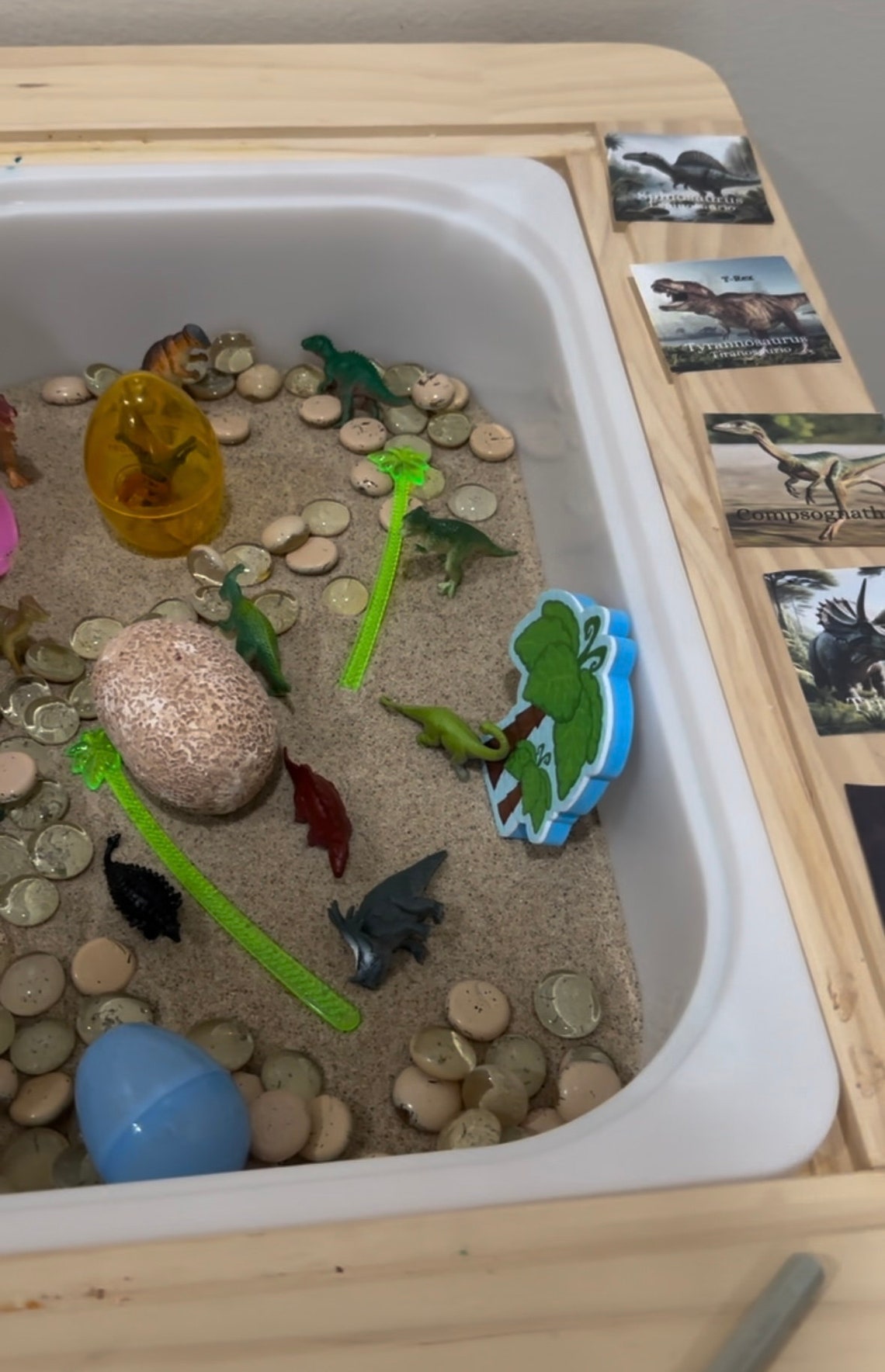 Dinosaur//dinosaur Activity//dinosaur Learning Activity//activities for ...