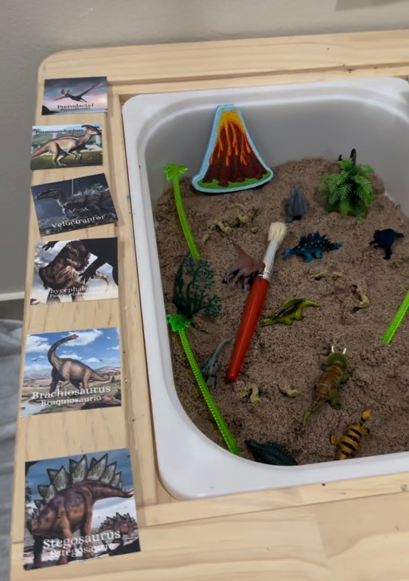 Dinosaur//dinosaur Activity//dinosaur Learning Activity//activities for ...