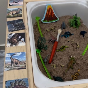 Dinosaur//dinosaur Activity//dinosaur Learning Activity//activities for ...