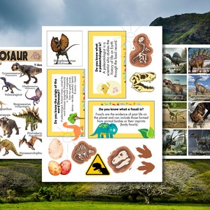 Dinosaur//dinosaur Activity//dinosaur Learning Activity//activities for ...