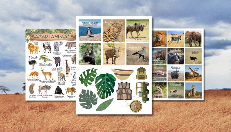 Safari Animals Flash Cards, Bilingual Learning (digital File) - Etsy