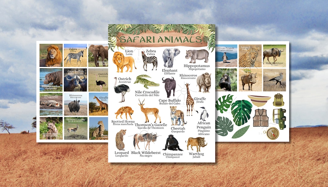 Safari Themed Learning Activity//safari Sensory Play//activities for ...