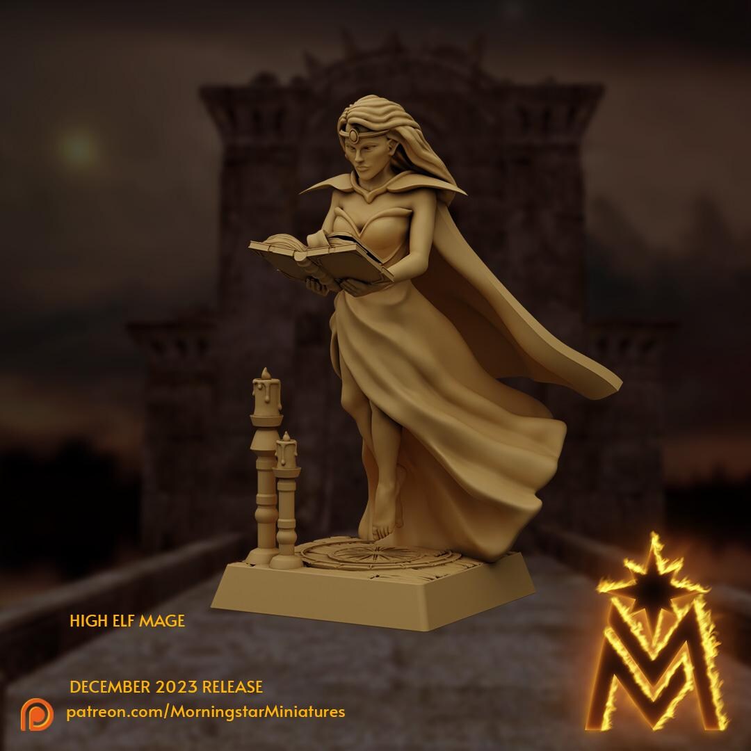 HIGH ELF MAGE Female Wizard Dnd Character Presupported Stl Wargaming ...