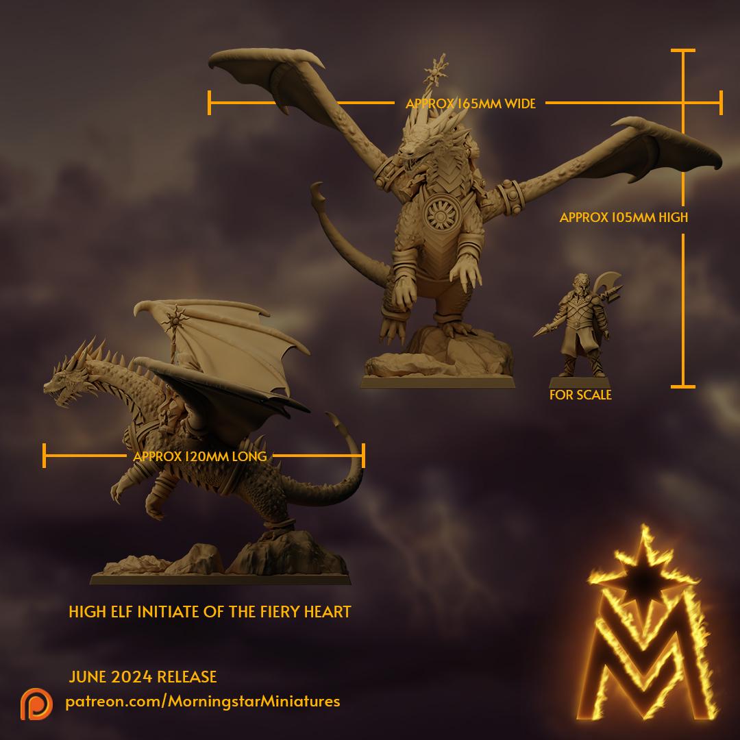 HIGH ELF Initiate of the Fiery Heart Presupported Stl Wargaming Fantasy ...