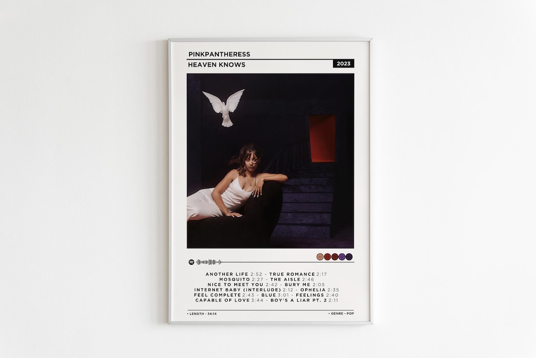 Pinkpantheress Heaven Knows Album Poster / Album Cover Poster / Music Gift / Music Wall Decor ...