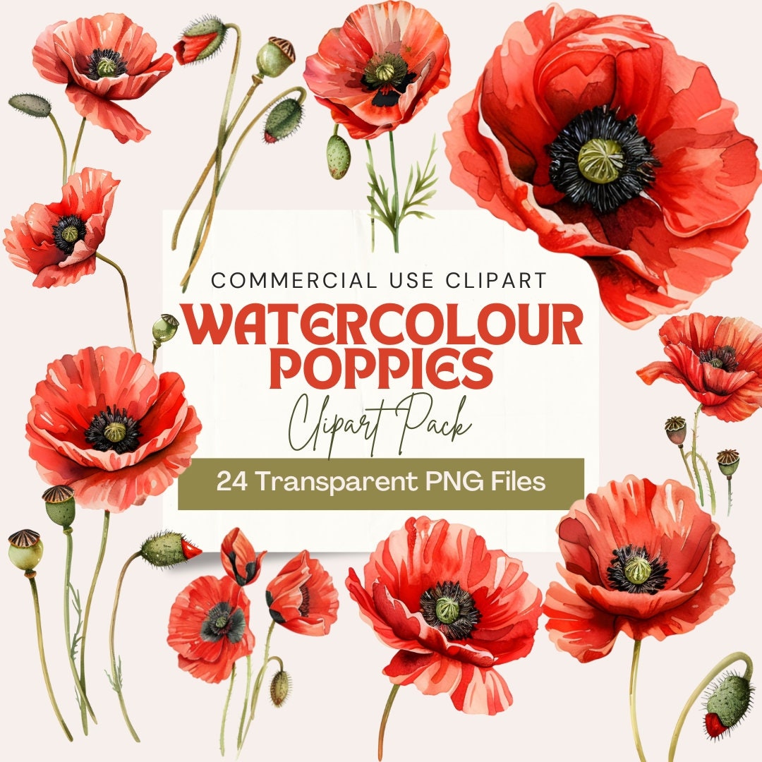 High-quality Watercolour Poppies Clip Art | 24 Transparent PNG Files ...