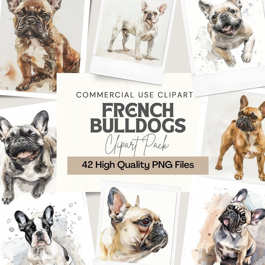 High-quality French Bulldog Clip Art | 42 Pngs, Digital Download ...