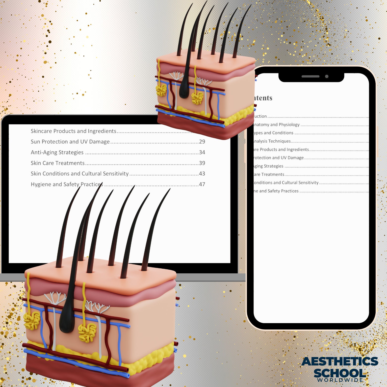 Skin Anatomy Training Manual - Etsy