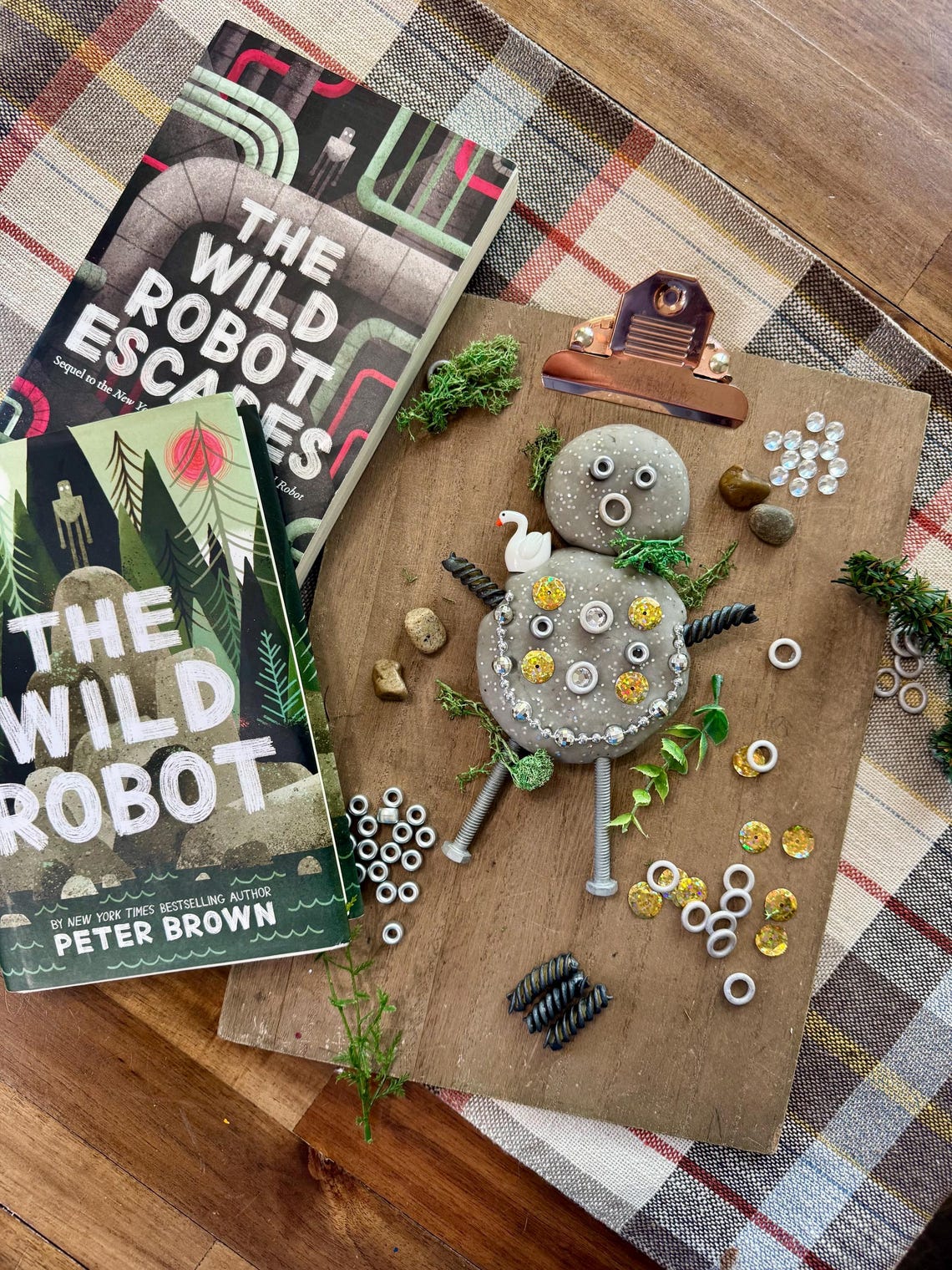 The Wild Robot Read Aloud Playdough Jar - Etsy