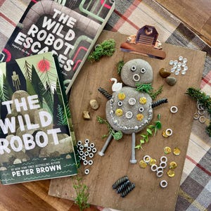 The Wild Robot Read Aloud Playdough Jar - Etsy