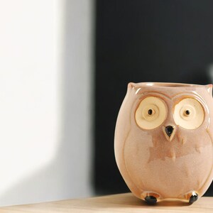Ceramic Mini Owl Flowerpot | Cute Succulent Planter for Garden ...