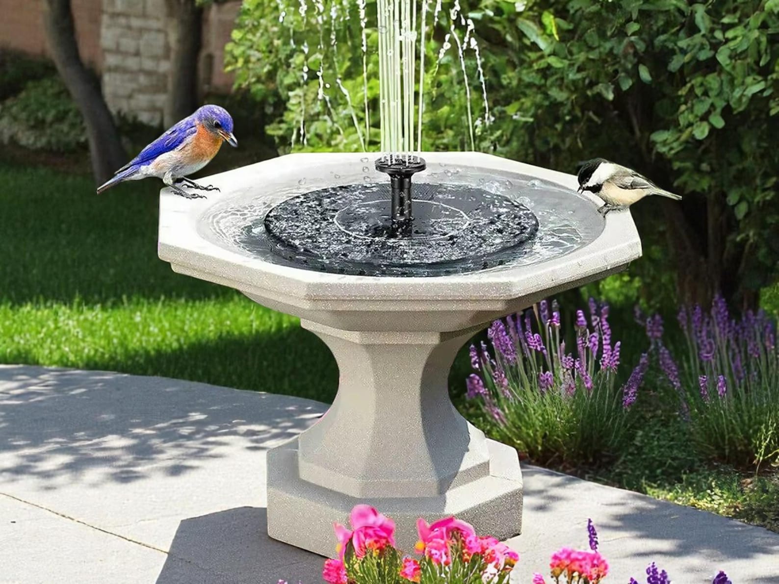 Solar-powered Floating Water Pump | Garden Feature With Spray Nozzles ...