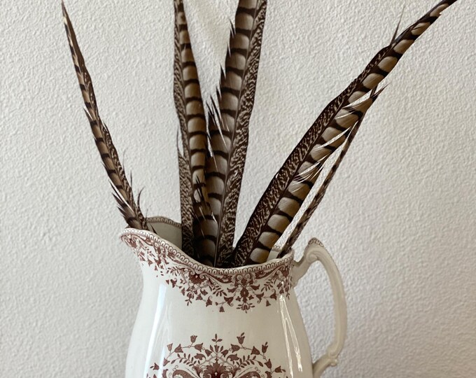 Antique Transferware Pitcher Brown and White T R Boote "tournay ...
