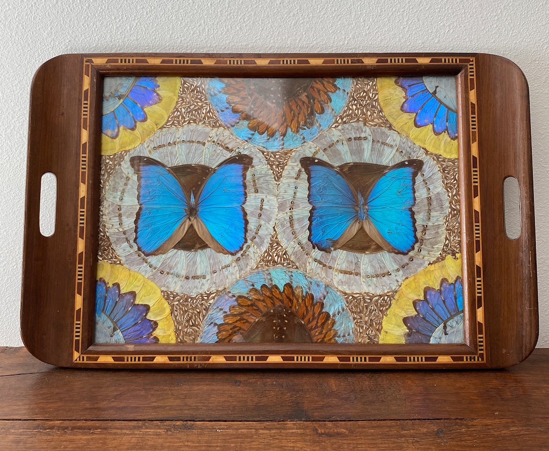 Antique Brazilian Butterfly Tray From the 1920'30's - Etsy