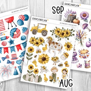 ECD- Vol2 - TRANSPARENT EC Colorful Matching Decor 12-month Set | Erin ...