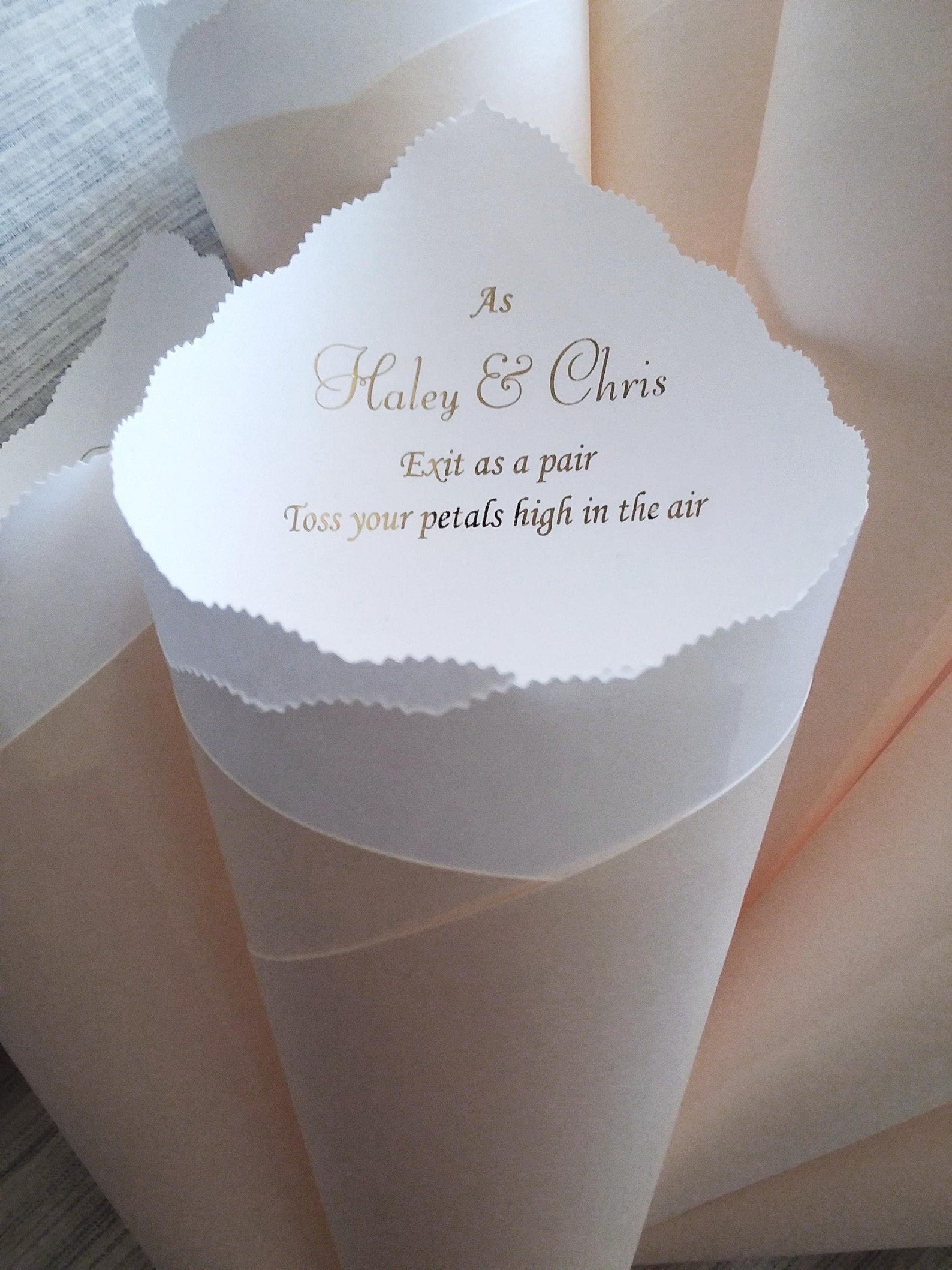 Wedding Cones in Custom Colors Foil for Petal Toss Confetti - Etsy