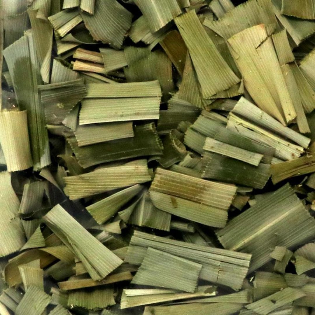 Rampe Leaves Pandan Leaves Dried Premium Bulk 200g 500g 1kg 2kg 5kg ...