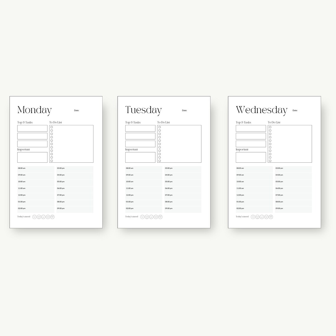 Daily Planning Sheets Printable PDF Printable Planner Daily Schedule to ...