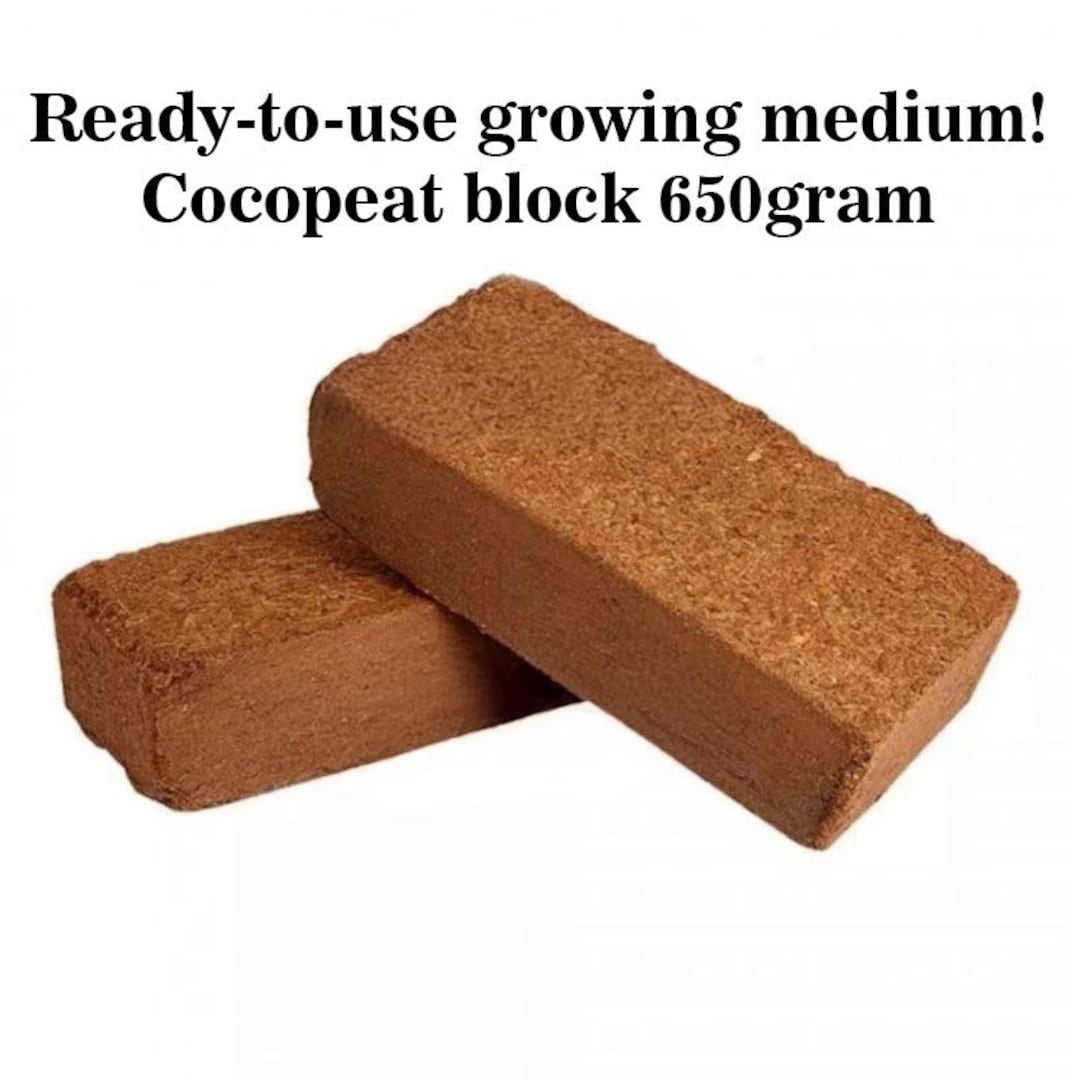 Organic Coco Coir Brick - Compressed Coconut Fiber for Plants - High ...
