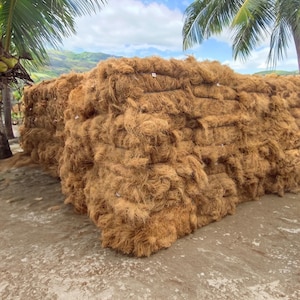 Natural Coconut Husk Fiber | Cocofiber for Plant Mulch, Reptile Bedding ...