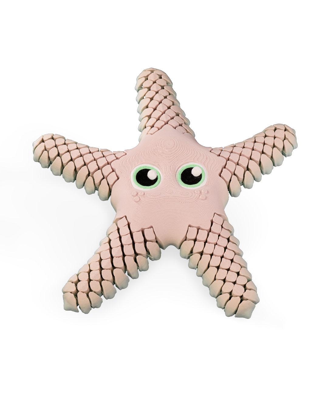 3D Printed - Articulated Starfish - Etsy