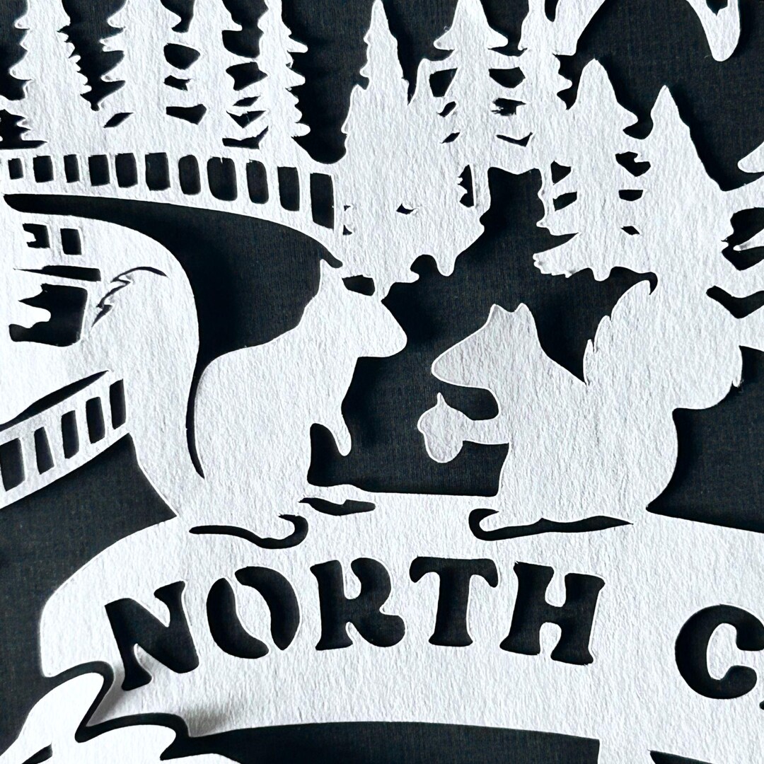 North Carolina State Art: Tar Heel Keepsake, Mountains to Coast ...