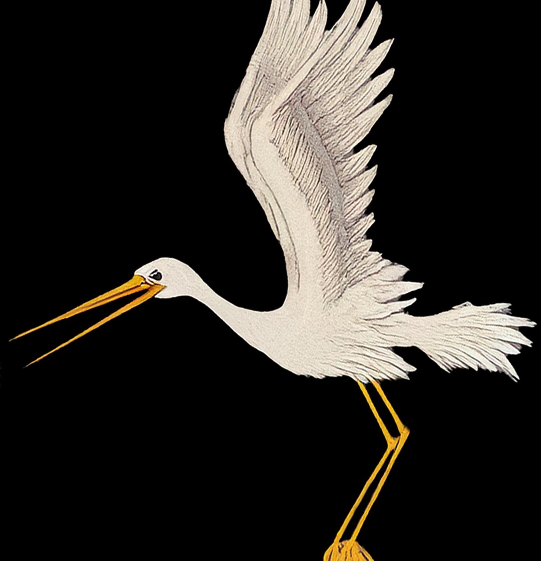 Clipart Stork Baby Born - Etsy