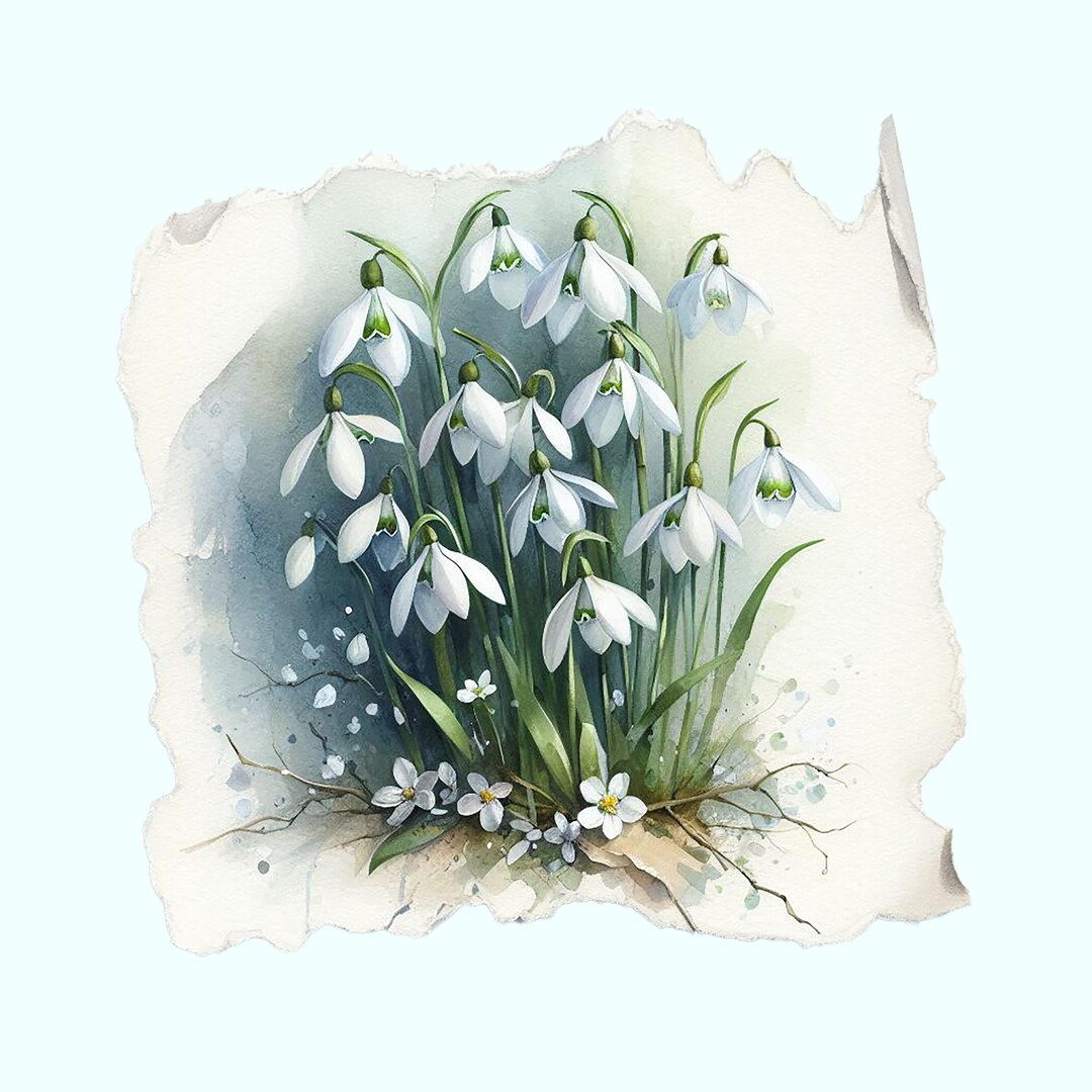 Watercolor Snowdrops on a Torn Piece of Paper. - Etsy