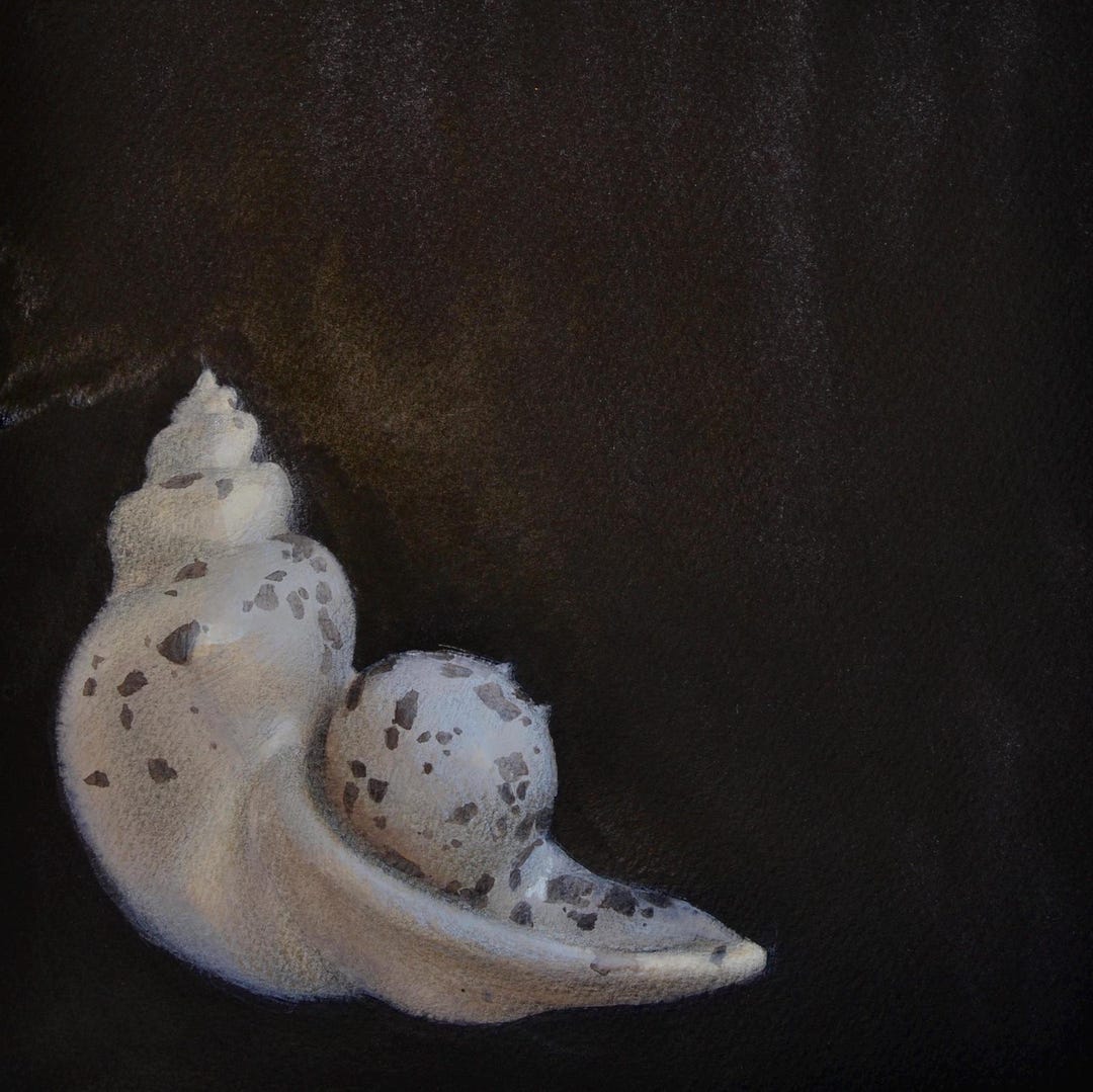 08/20 - Original Surreal Watercolor Painting – Shell, Realistic Marine ...