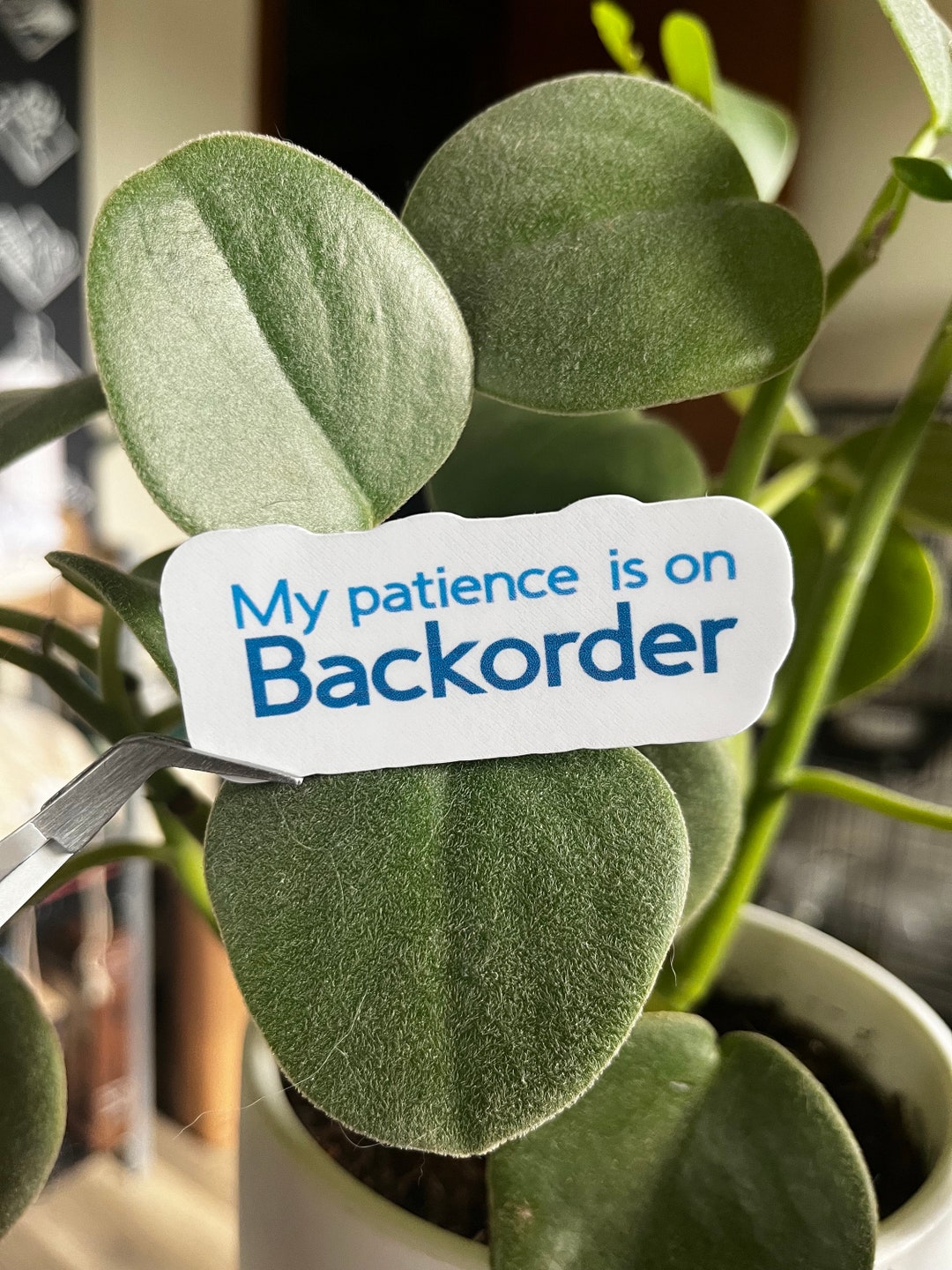 My Patience is on Back Order Sticker - Etsy
