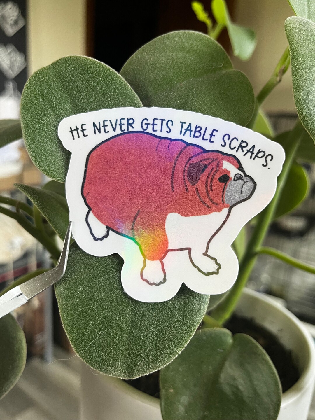 Obese Bulldog Sticker He Never Gets Table Scraps. - Etsy