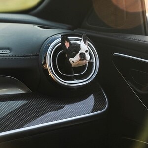 Special Gift for Her/him, Pet Memorial Gift, Custom Pet Portrait Aroma ...