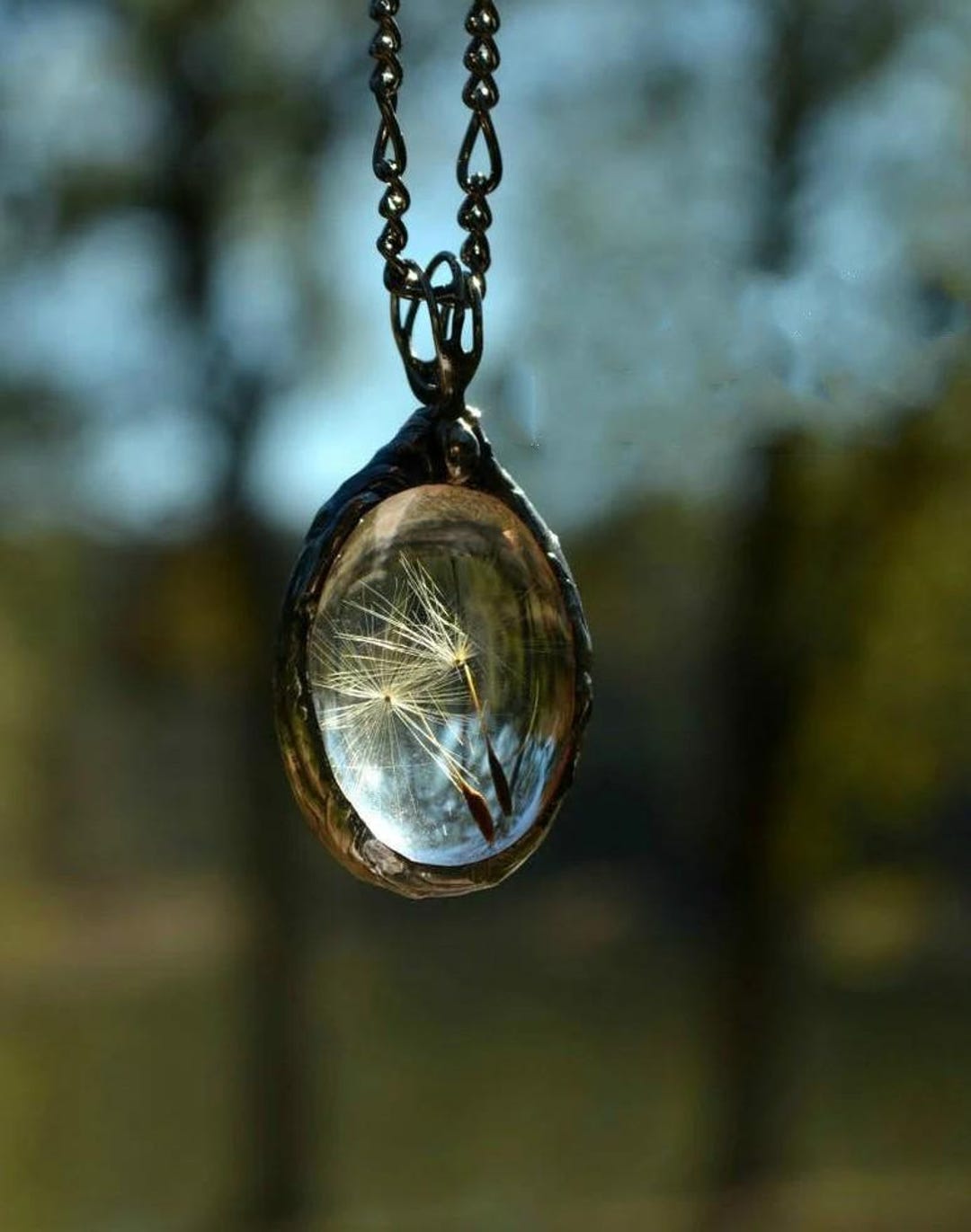 Glass Encased Dandelion Seed Necklace Real Dandelion Glass Necklace ...