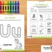 Vowel Writing Practice Workbook - Digital Homeschool Printables/fine ...