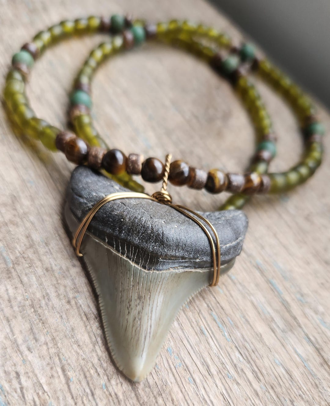 Fossilized Megalodon Shark Tooth Pendant on Beaded Necklace Tiger Eye ...