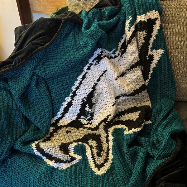 Philadelphia Eagles Crochet Patterns - Etsy