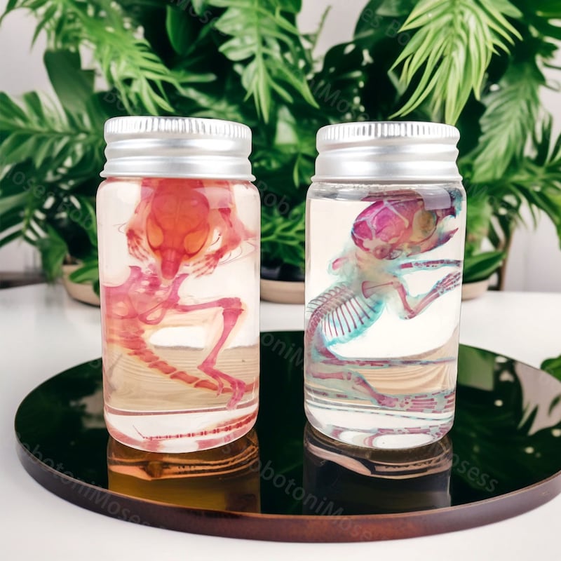 Diaphonization - Etsy