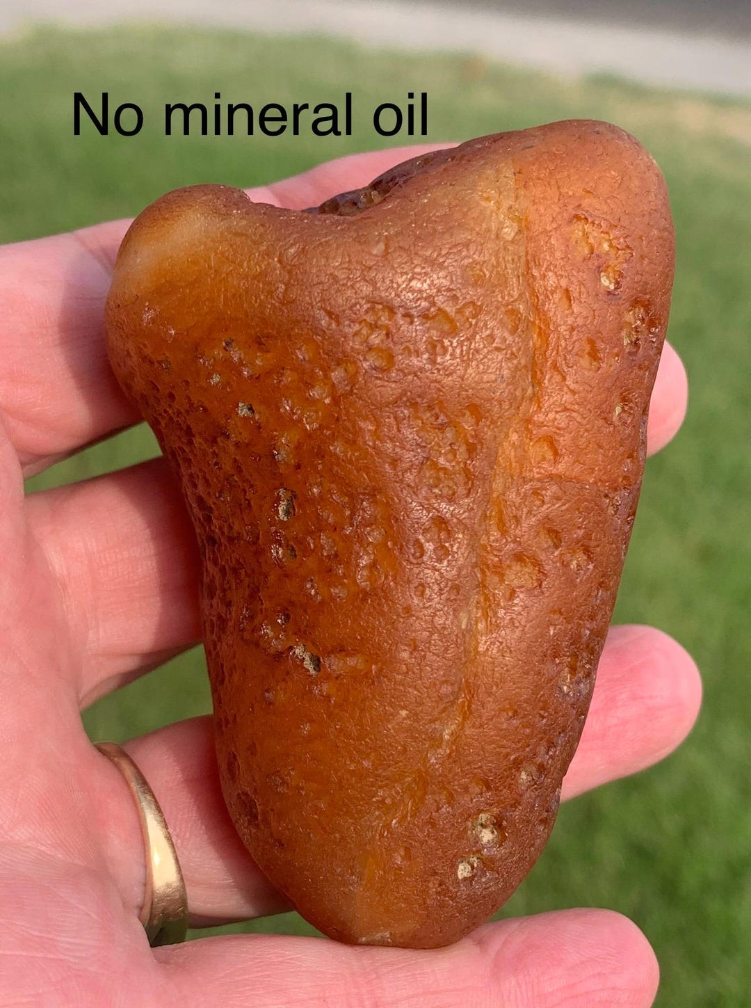 Carnelian Agate Dinosaur Tooth Shape: Columbia Basin Red Druzy Crystal ...