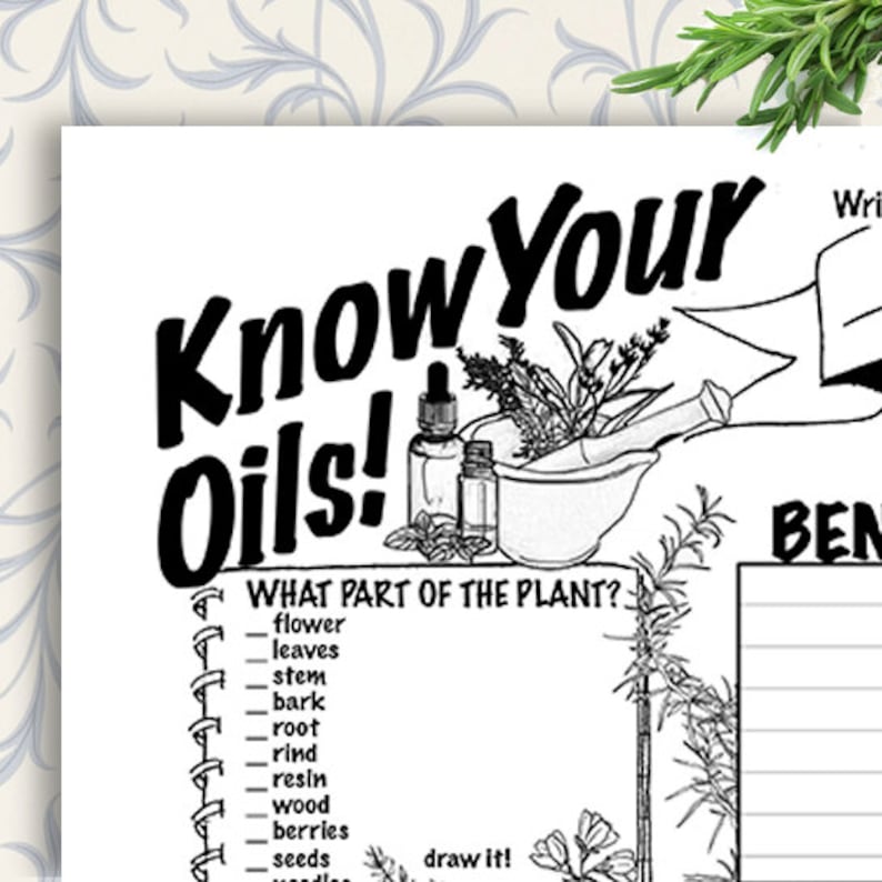 Printable Essential Oils Coloring Worksheet Journal Page - Etsy